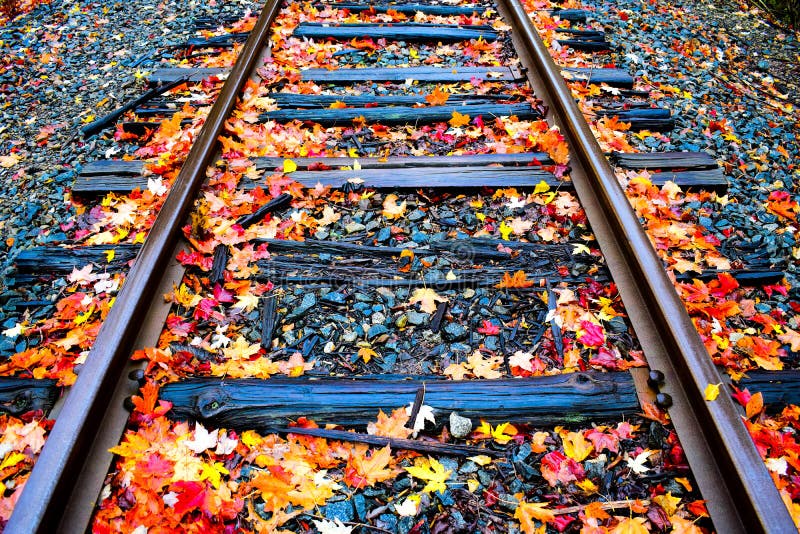 Fall Railroad stock photo. Image of colorful, conceptual - 102981226