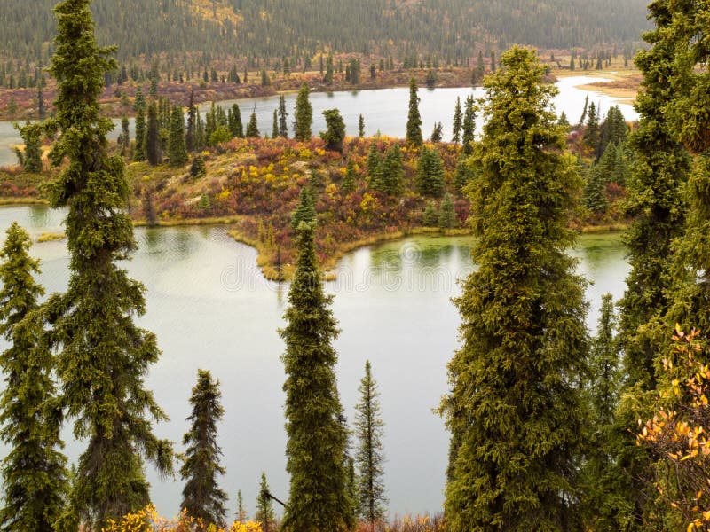 Fall Rain on Wilderness Lake, Yukon T., Canada Stock Image - Image of ...