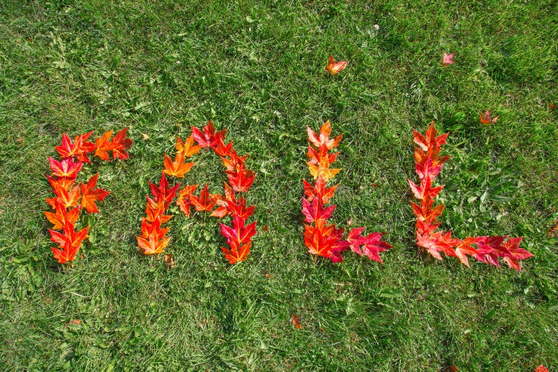 Fall stock photo. Image of letter, toronto, seasonal - 45107418