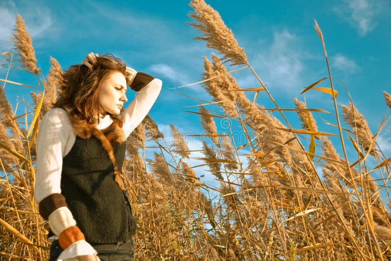 Fall reeds season stock photo. Image of passion, express - 11918794