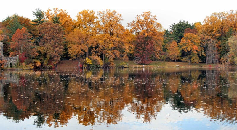 Fall Colors stock image. Image of fresh, natural, colorful - 6804623