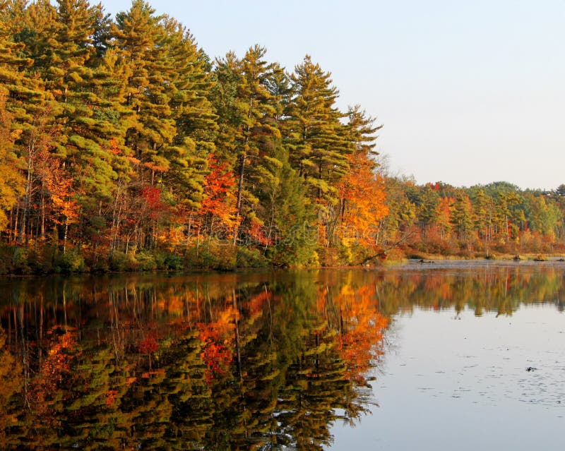 Fall reflection stock photo. Image of trees, blue, water - 29168416