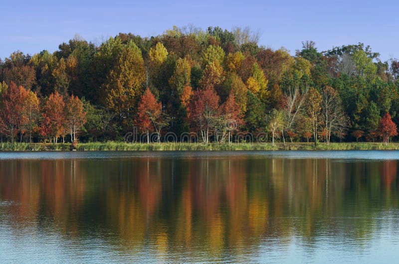 Fall Lake Scene stock image. Image of rural, cover, countryside - 3549349