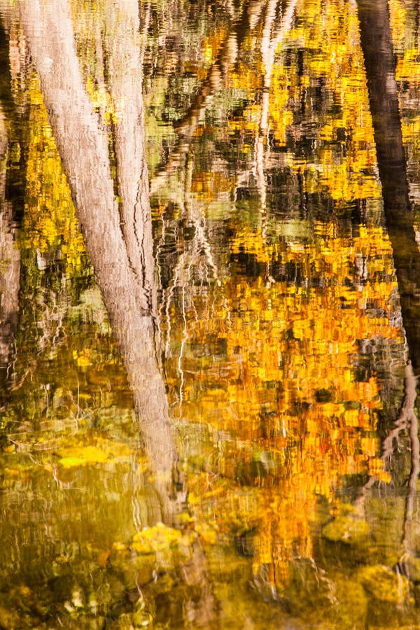 Fall Reflection Abstract stock image. Image of colorful - 50261957