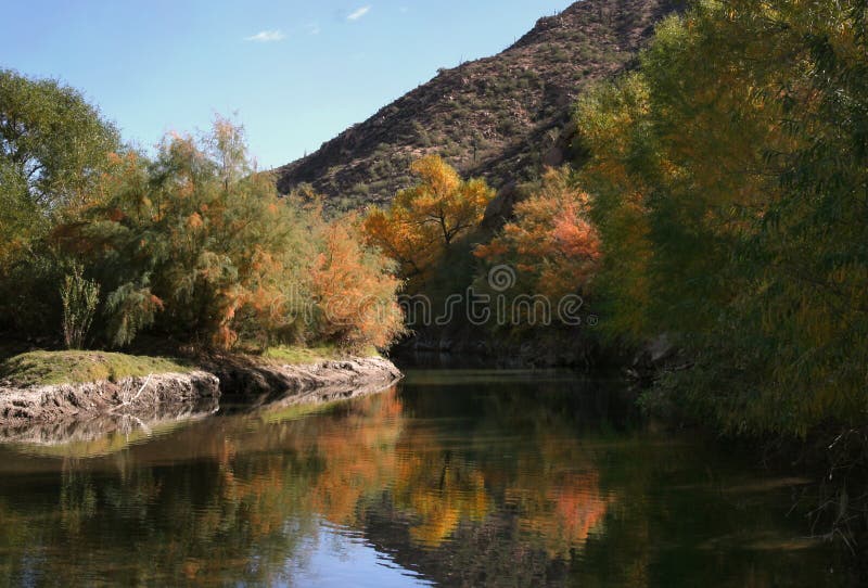 Fall Reflection on the Salt River Stock Photo - Image of autumn, desert ...