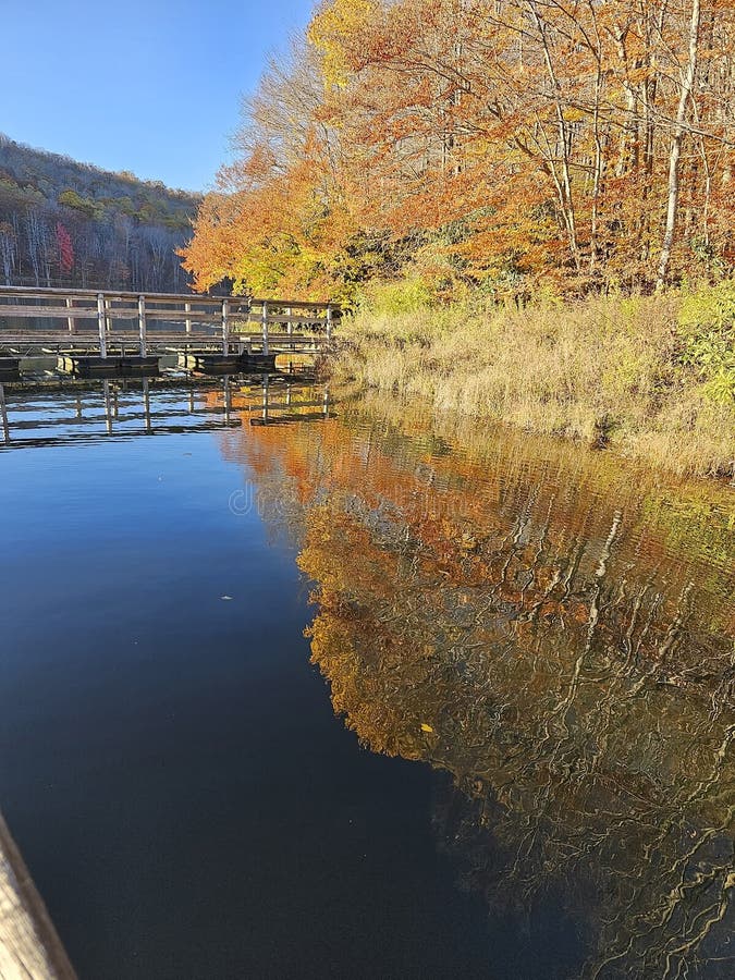 Fall Reflection of Trees on Water Stock Image - Image of trees ...
