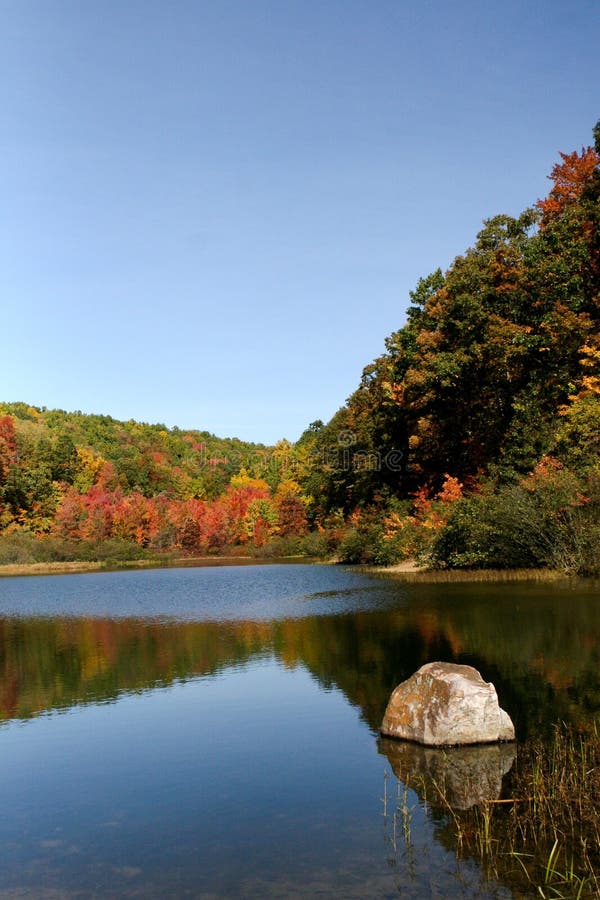 Fall reflections stock photo. Image of peaceful, forest - 12536122