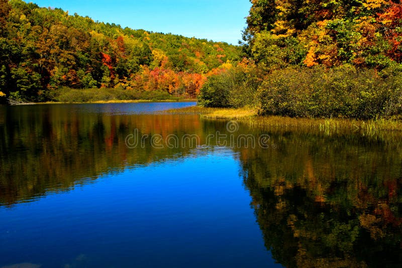 Fall reflections stock photo. Image of peaceful, forest - 12536122