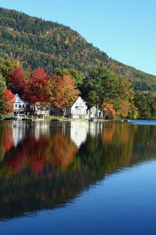 4+ Lake dunmore foliage Free Stock Photos - StockFreeImages