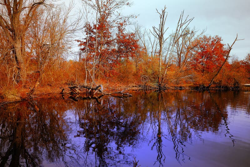 Fall Reflections Picture. Image: 17390715