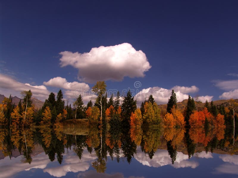 Fall Reflections Picture. Image: 17390715