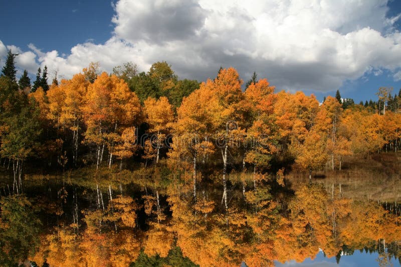 Fall Reflections Picture. Image: 17390715