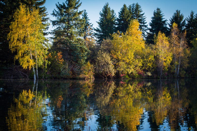 Fall Reflections stock photo. Image of pond, lake, autumn - 78717842