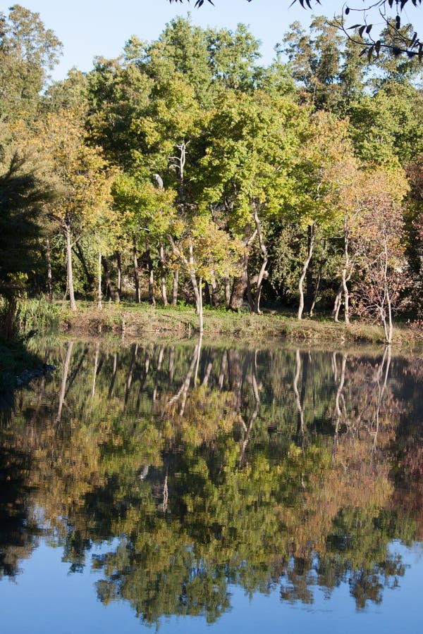 Fall reflections stock photo. Image of reflections, bright - 46641352