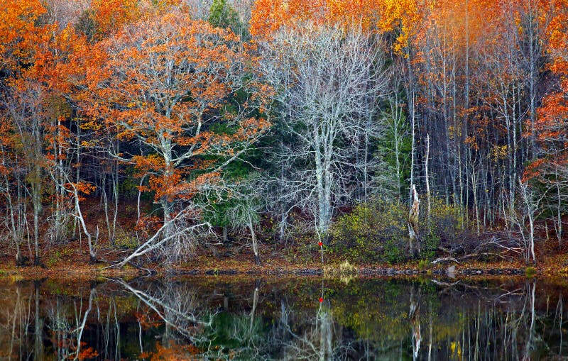 Fall Autumn Colors Water Reflection Stock Image - Image of landscape ...