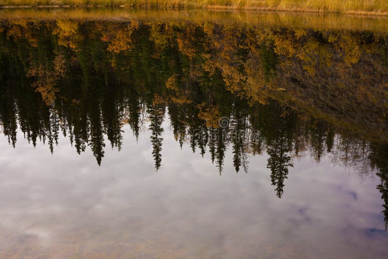 Fall Reflections on Water Surface Stock Photo - Image of outside ...
