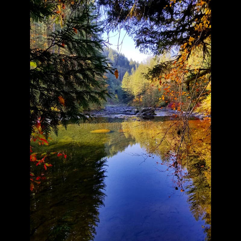 Fall on the river stock image. Image of fall, pond, plant - 163447017