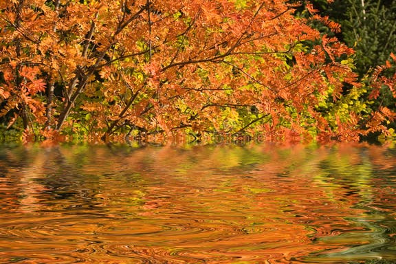 90,188 River Fall Scene Stock Photos - Free & Royalty-Free Stock Photos ...