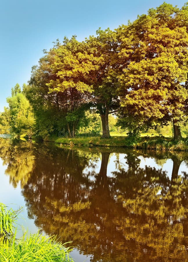 Picturesque Autumn Landscape of Steady River and Bright Trees Stock ...