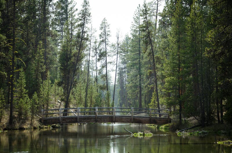 Fall River Bridge stock image. Image of fall, oregon - 59800239