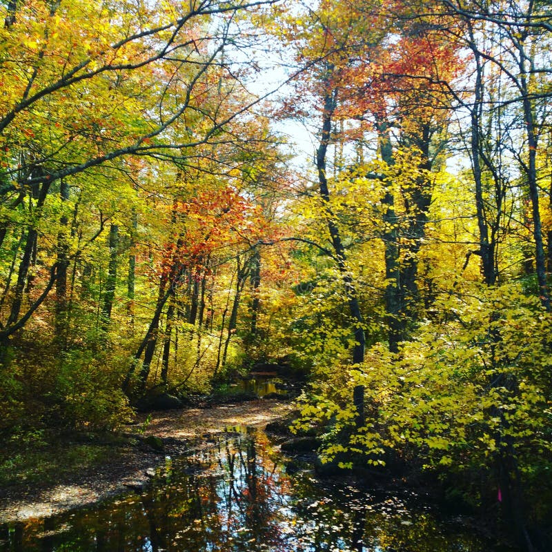 Fall river stock image. Image of colorful, river, fall - 83715987