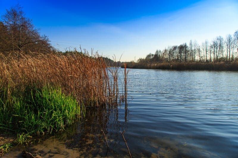 Fall river stock image. Image of pine, blue, autumn, landscapes - 46464321