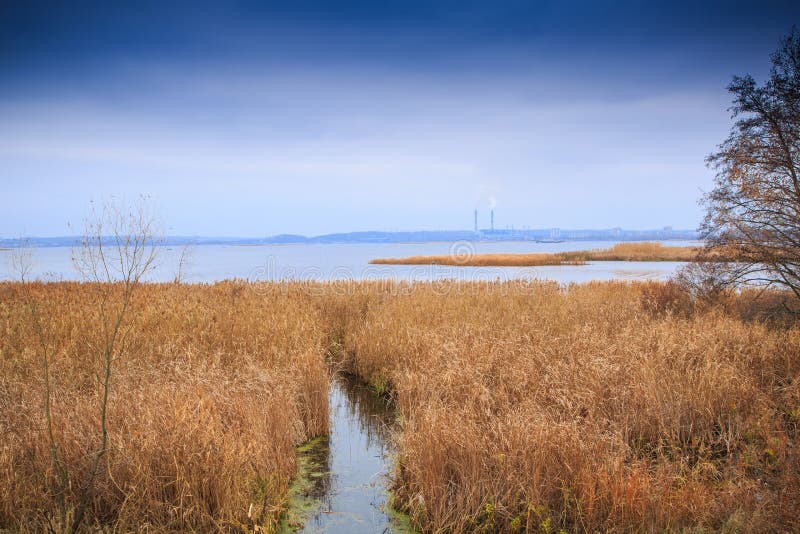 Fall river stock image. Image of nature, falls, pine - 46910231