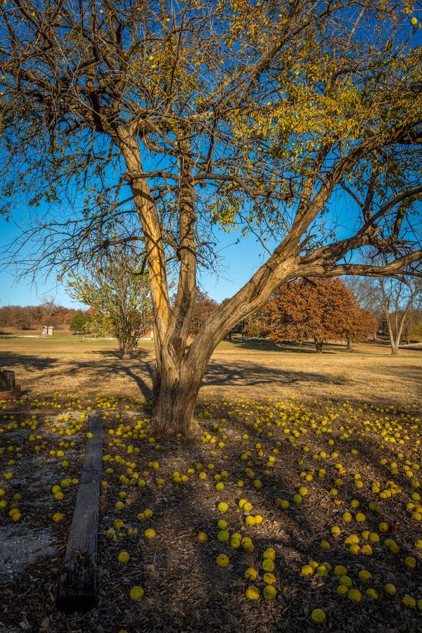 Fall River State Park Kansas Stock Photo - Image of arizona ...