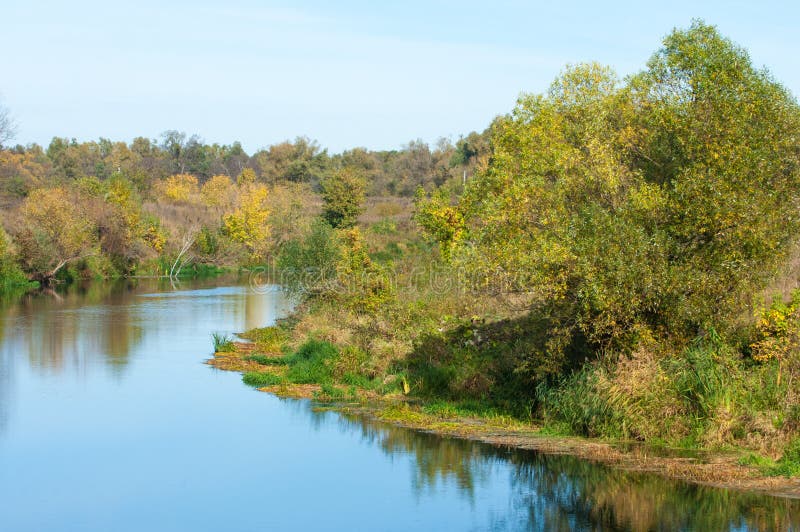 Fall River, Trees Dressed in Yellow Leaves Leaned Over the Water Stock ...