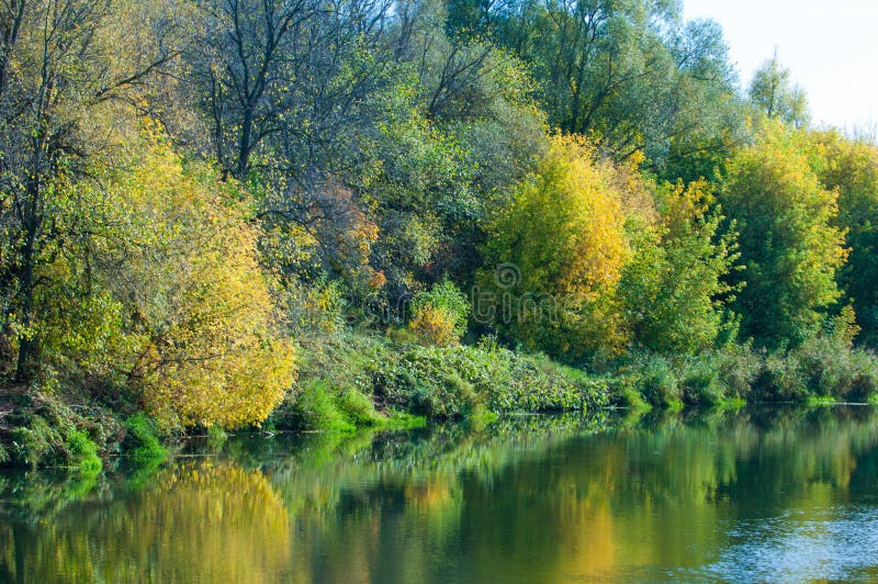 Fall River, Trees Dressed in Yellow Leaves Leaned Over the Water Stock ...