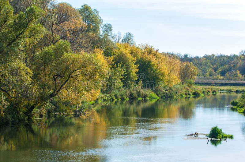 Fall River, Trees Dressed in Yellow Leaves Leaned Over the Water Stock ...