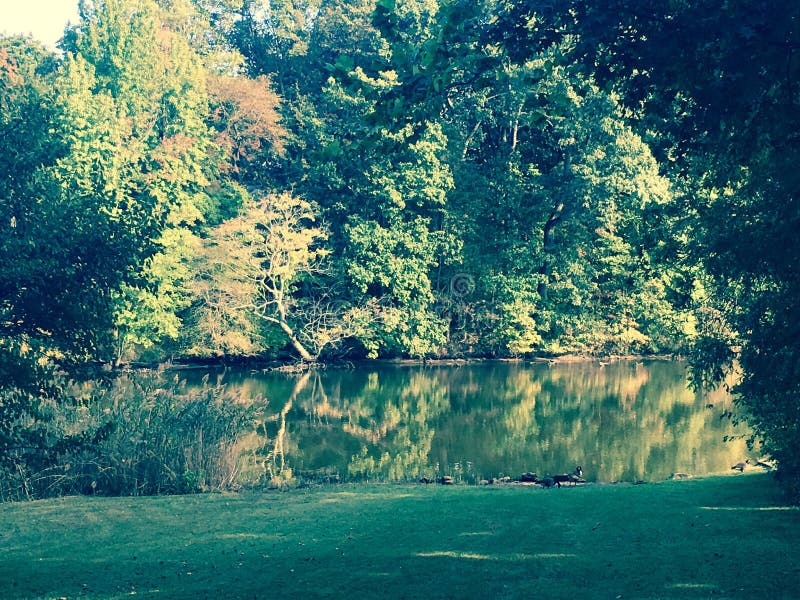 Fall River view stock photo. Image of fall, view, water - 79894386