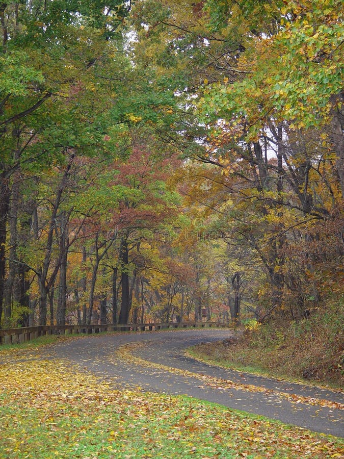 Fall Road stock photo. Image of rural, blue, trip, scenic - 2902992