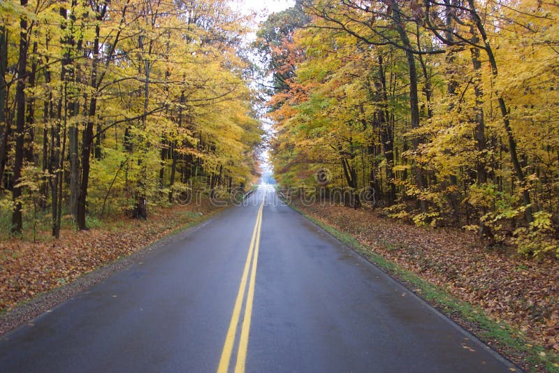 Looking Straight Down a Road in the Fall Stock Photo - Image of ...