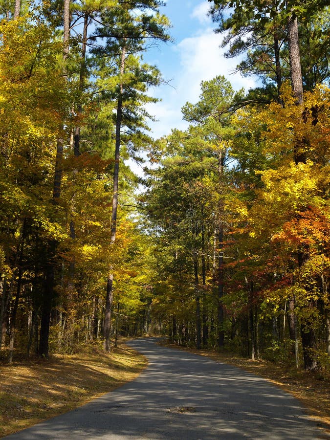 Colorful fall path stock photo. Image of fall, path, woods - 324308