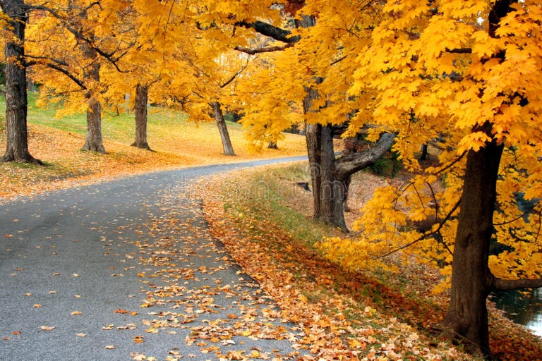 Fall Road stock photo. Image of country, park, tree, colorful - 5903460