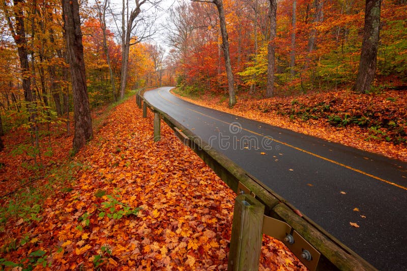 Fall Road with in Autumn Foliage through Forest with Leaves on Ground ...