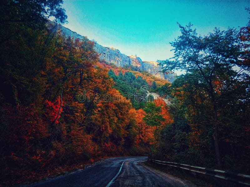 Fall road stock image. Image of autumn, yellow, road - 135922317