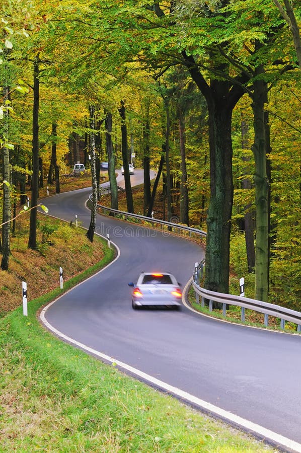 Fall road in forest stock photo. Image of asphalt, beauty - 13258076