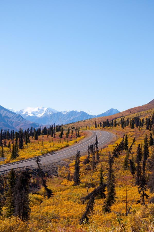 Fall Road into Mountains Portrait Stock Photo - Image of flora, leaves ...