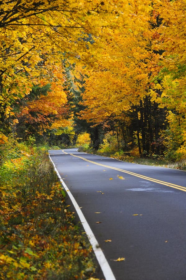 Fall road from road edge stock photo. Image of path, pacific - 7605068