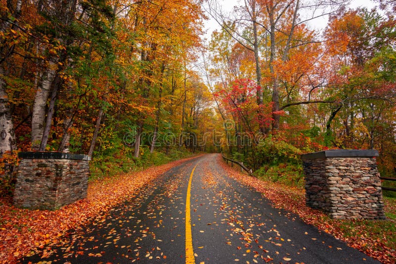 Fall Road with Stone Columns in Autumn through Forest Stock Image ...