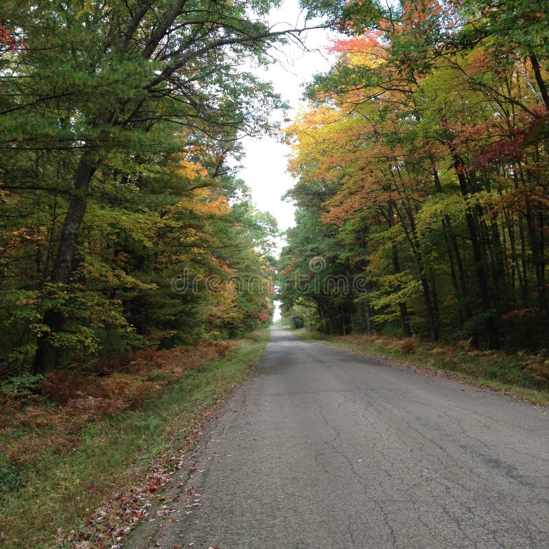Fall rode stock photo. Image of leaves, colors, rode - 82784656