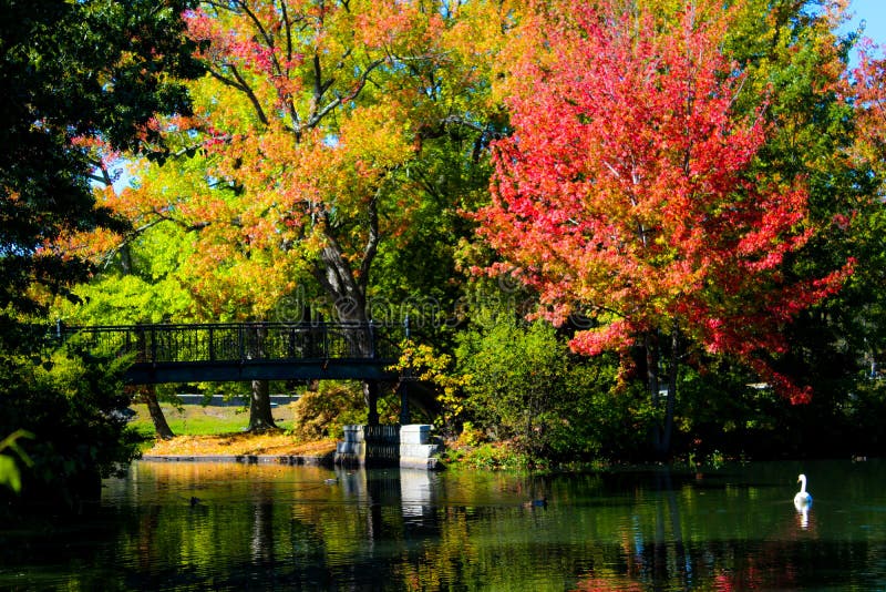 Fall at Roger Williams Park, Providence, RI. Editorial Image - Image of ...