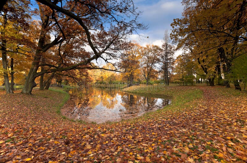 Golden fall stock photo. Image of golden, autumn, weather - 27725096