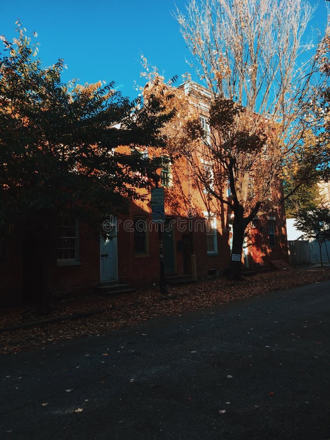 Fall Row Homes stock image. Image of baltimore, fall - 110881877