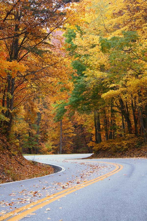 Fall S Curve stock photo. Image of color, nature, colorful - 4902974