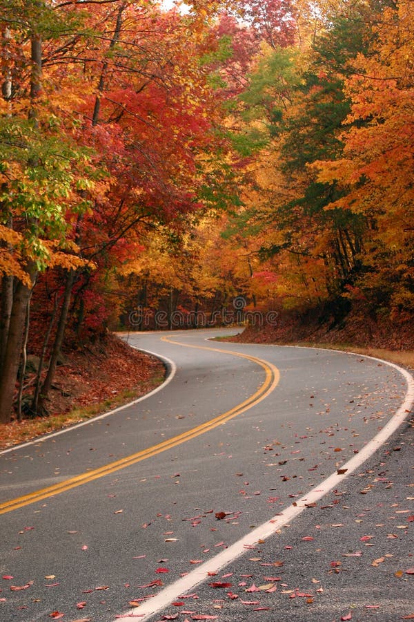 Fall S Curve stock photo. Image of color, nature, colorful - 4902974