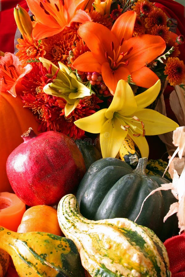 Fall s Harvest stock image. Image of corn, ingredients - 27259229