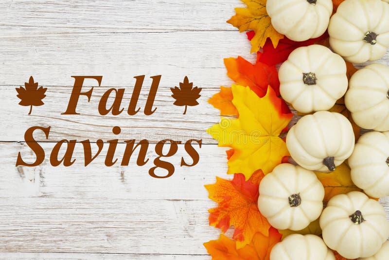 Fall Savings Message with White Pumpkins with Fall Leaves Stock Photo ...